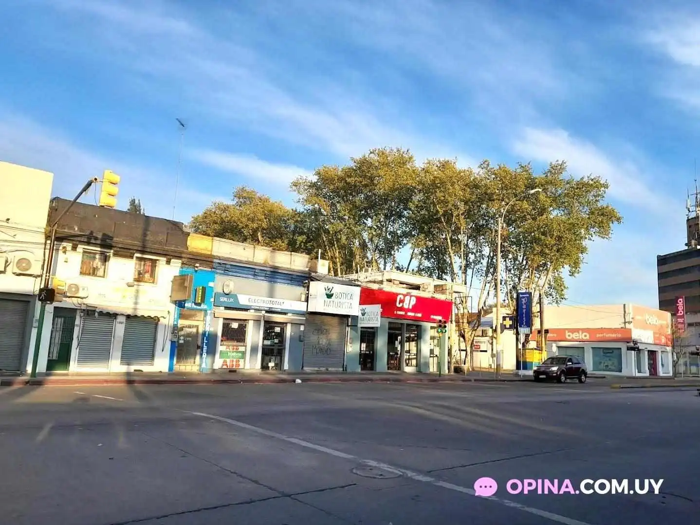 Grido Helado - Montevideo - Heladería en montevideo